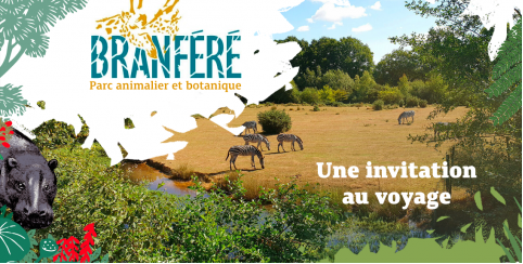 Le Parc Animalier Et Botanique Le Parcabout De Branf r Pour S